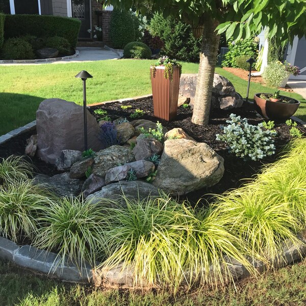 Plastic Moss Pads: Artificial Aquarium Plants - Reptile Terrarium ...