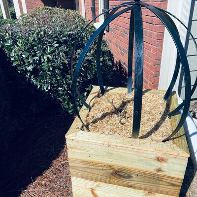 Juniper Fresh Cut Oregon Juniper Box Christmas Wedding - Etsy