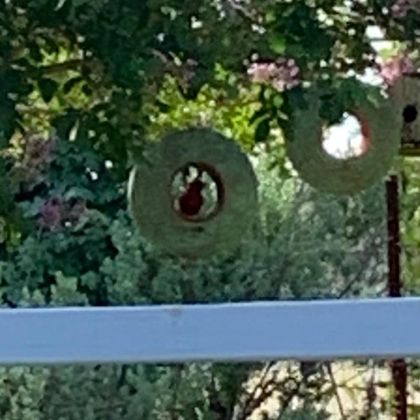 20” Rust Bird Bath With Stand - Etsy