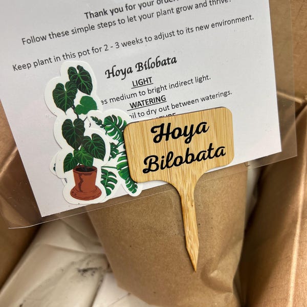 Plantaholic Wood Sign / Plant Decor / Plant Lover / House Plants ...