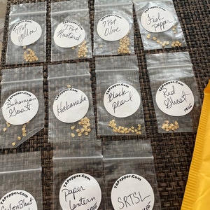 15 Numex Pinata Pepper Seeds isolated-padded Envelope - Etsy