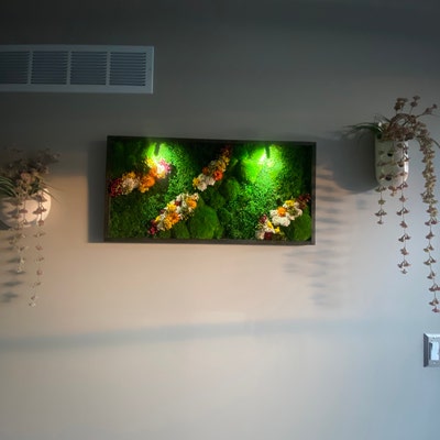 Delightful LED Lights Preserved Moss Wall Art Live Moss LED Home Décor ...