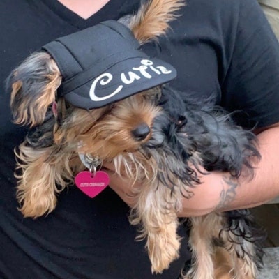 Custom Pet Hat 5 Famous Fonts to Choose From Pet Base Ball Cap Dog Cap ...