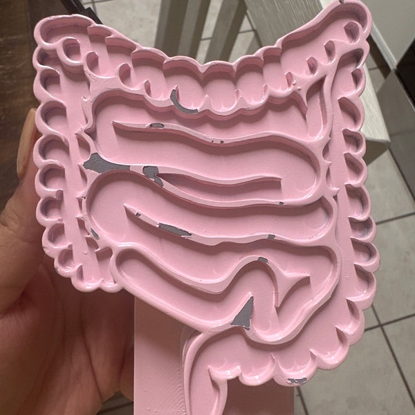 Intestine Pen Holder: Gastrointestinal Decor, Medical Gift - Etsy