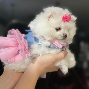 Mermaid Pearl Iridescent Hand Fan / Rave Accessory / Festival | Etsy