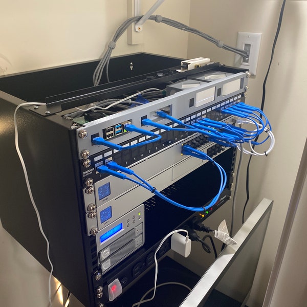 Philips Hue With Lutron Hub & X2 Raspberry Pi - 1U 19in Rack Mount - Etsy