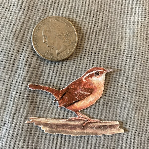 Bird Print Set, Bird Prints, Bird Prints Wall Art, Set of 9, Bird ...