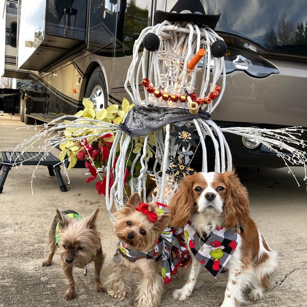 Over the Collar Reversible Dog Bandana - Wisconsin Badgers, Milwaukee ...