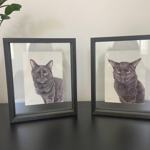 Square Floating Frame in Teak Veneer, Double Sided Frame, Glass Frame ...