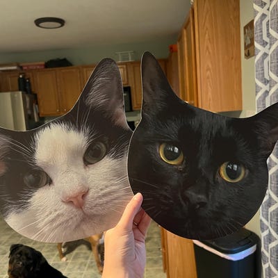 Custom Cut Out Foam Sign Party Foam Sign for Birthday Event Decoration ...