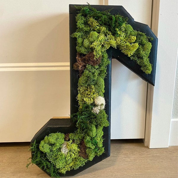 Music Note Succulent Vertical Garden / Living Hanging Wall Planter ...