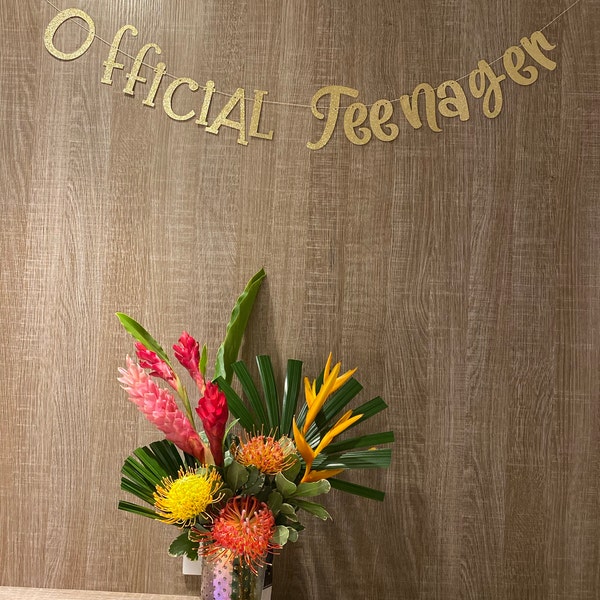 Official Teenager Banner, 13 Birthday, Official Teen, Finally Thirteen ...