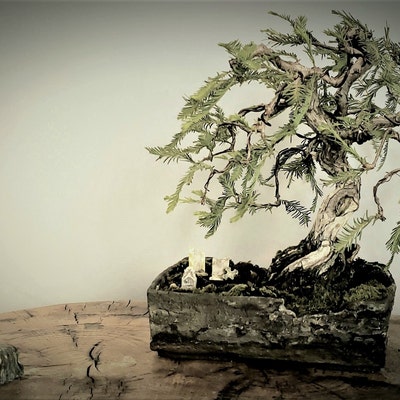 Miniature Distressed Tombstone Cemetery Crypt Girl - Etsy