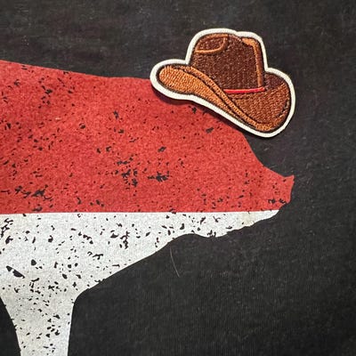 Not My First Rodeo Patch, Trucker Cap Patch, Iron On, DIY Patch ...