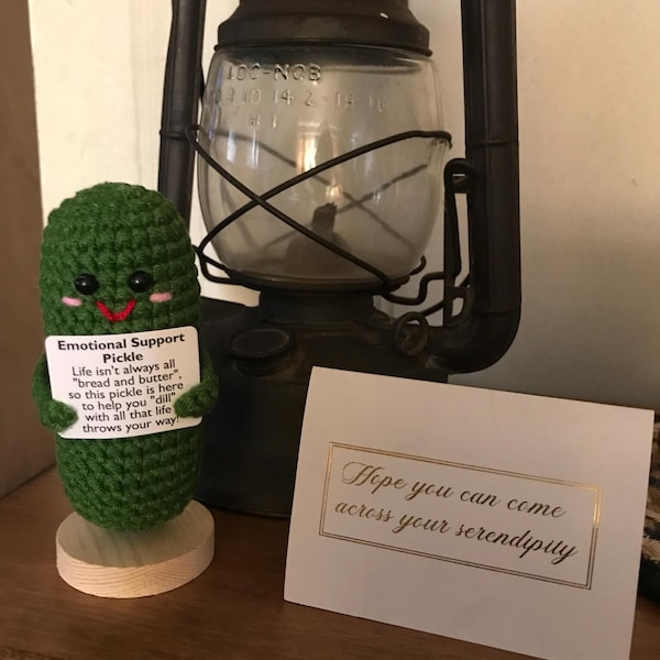 Emotional Support Gift for Friends/coworkers/family,crochet Positive ...