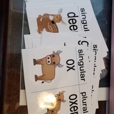 DIGITAL: Online ESL Pronoun and Possessive Adjective Reference Charts ...