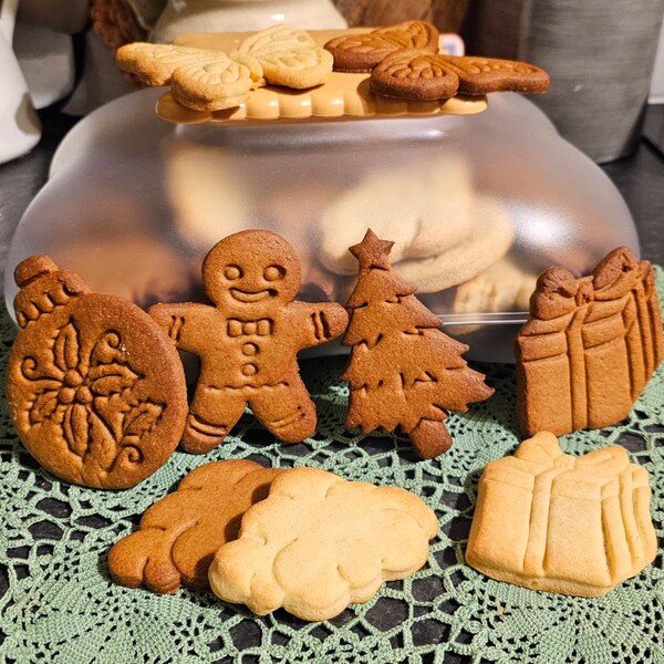 Bacteria Cookie Cutter Microbiology Biscuit Cutters Microbiologist ...