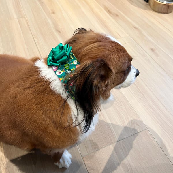 Dog Ruffle Collar, Budding Blooms Dog Scrunchie Collar With Pink ...