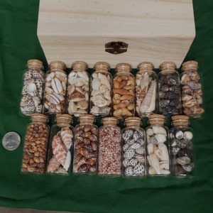 100 1ml Bitty Bottles. Empty Glass Vials. Glass Bottles. Miniature Bottles. Glass Vials With ...