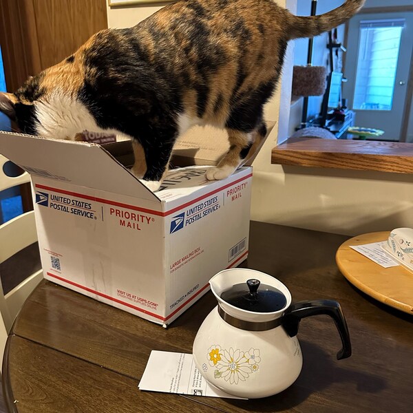 Set of 4 Tiara SANDWICH CHANTILLY GREEN Snack Plate Cup Sets 8 3/8 ...