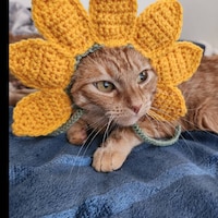 CROCHET PATTERN - Flower Cat Hat Crochet Pattern Digital PDF, Sunflower ...