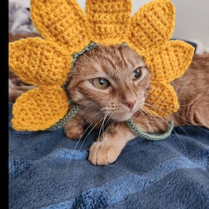 Alien Cat Costume Toy Story Alien Cat Hat Crochet UFO Cat - Etsy