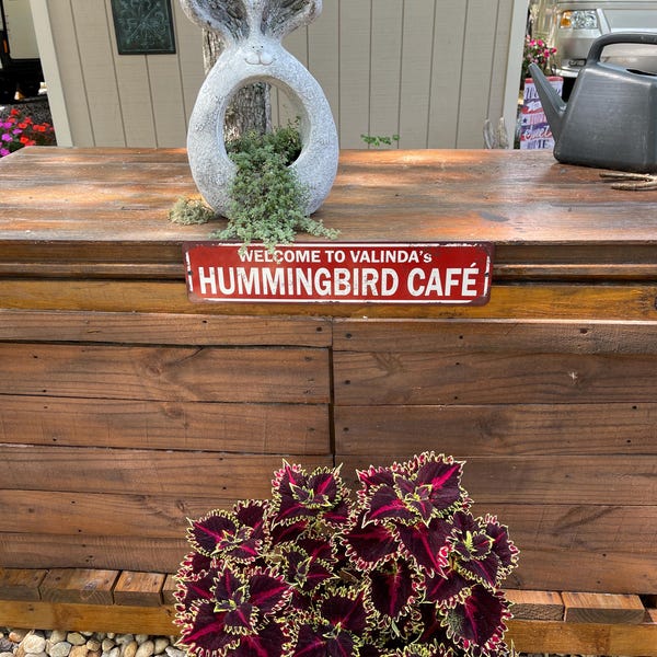 Hummingbird Feeder Sign - Welcome to the Hummingbird Café - Backyard ...