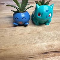 Bulbasaur pintado y maceteros extraños con suculentas/cactus vivos Dos ...