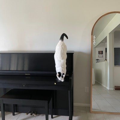 Cooking Through Folklore E-book Folklore Cookbook Taylor Swift Cookbook ...