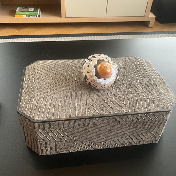 White Screw Shells 3-8cm Unicorn Horns Spiral Shell Beach Wedding ...