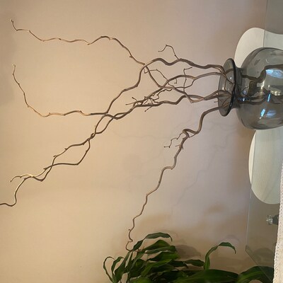 Twisted Willow Branches Tall Curly Twigs for Vase Natural Dried Stems ...