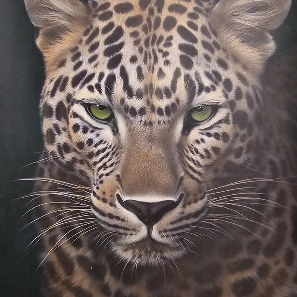 Women of the 50s Coloring Book for Adults and Kids, Grayscale Coloring ...