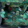Printable Ecology & Biology Shoebox Diorama, Create Your Own Rainforest ...