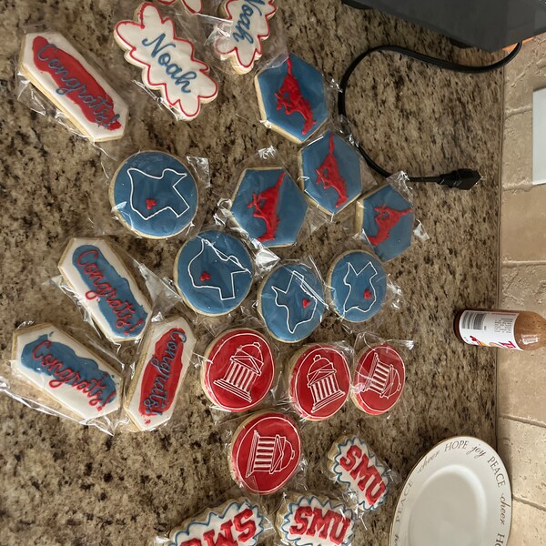 Halloween Themed Decorated Sugar Cookies/ Halloween Characters Iced ...