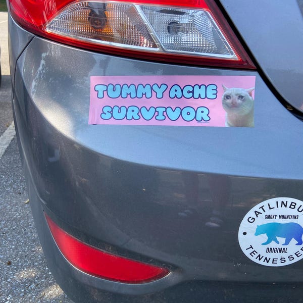 WTF is a Kilometer | Bumper Sticker AND Magnet | Funny Meme Sticker | 8 ...