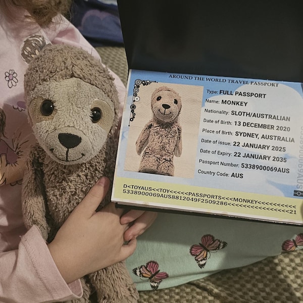 American Teddy Bear Passport - Personalised Passport for American ...