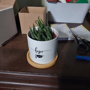 Personalized DNP Graduation Gift 3 White Ceramic Pot W/ Live Plant DNP Gift Doctor of Nursing ...