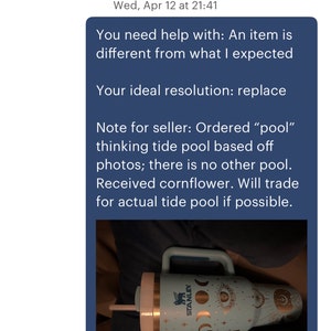 Yeti 20oz Cactus Plants Tumbler - Etsy