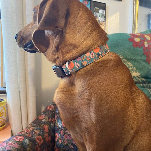 Fall Dog Collar, Autumn Dog Collar, Pumpkin Dog Collar, Embroidered Dog ...