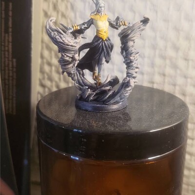 22mm Capybara Mount for Dungeons and Dragons D&D Pathfinder Dnd ...