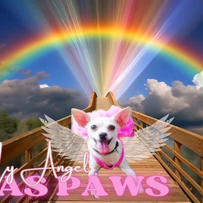12 Rainbow Bridge Clouds Angel Wings Pet Loss Memorial Background ...