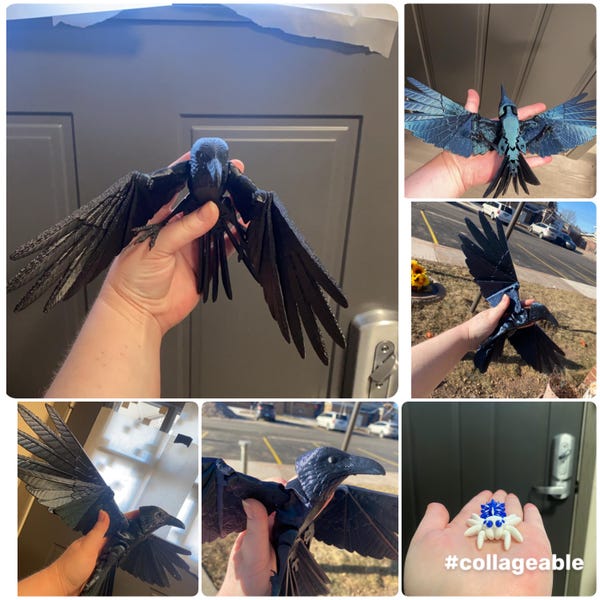 Articulated Quetzal Bird 3d Printed Fidget Friend - Etsy