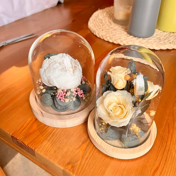 Eternal Peony Under Glass Dome SECRET GARDEN Eco Responsible Gift ...