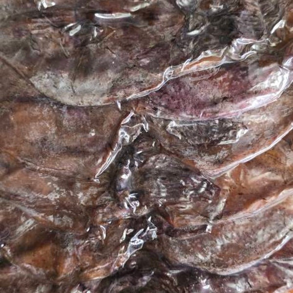 Danggit 110g Unsalted | Boneless | Dried Fish | Daing | Tuyo - Etsy