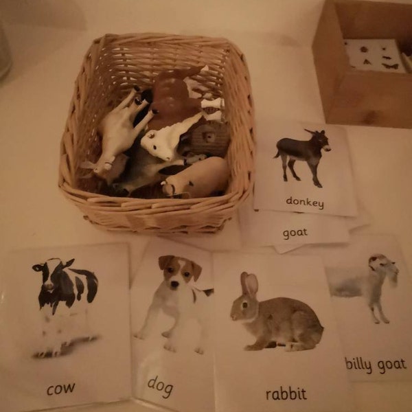 FARM ANIMALS • 22 Editable Montessori Cards • Flash Cards Nomenclature ...