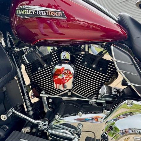 Harley Davidson 2024+ Timing Cover Medallion VVT Insert - for Road ...