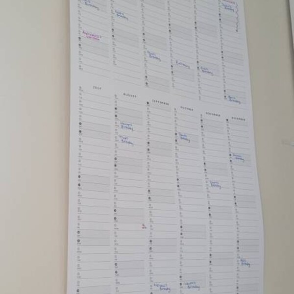 2025 Narrow Portrait Year Planner 2025 Wall Calendar Monthly Planner ...