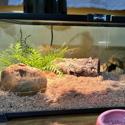 Plastic Moss Pads: Artificial Aquarium Plants Reptile Terrarium Plants ...