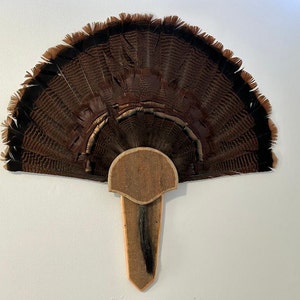 Classic Turkey Fan Mount - Etsy