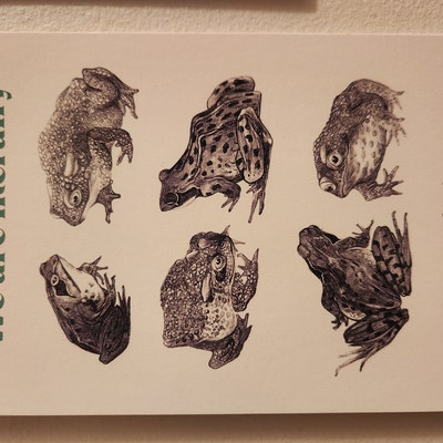 Cottagecore Frog Meme Print Funny Comic A Day in the Life of Frog ...